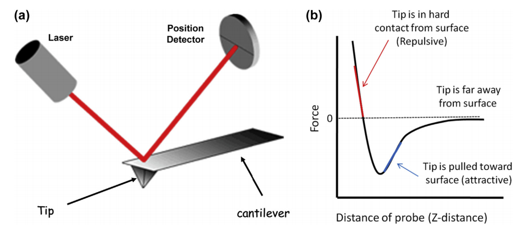 Mikroskop Sił Atomowych/Atomic Force Microscope – PhoBiA — Photonics ...